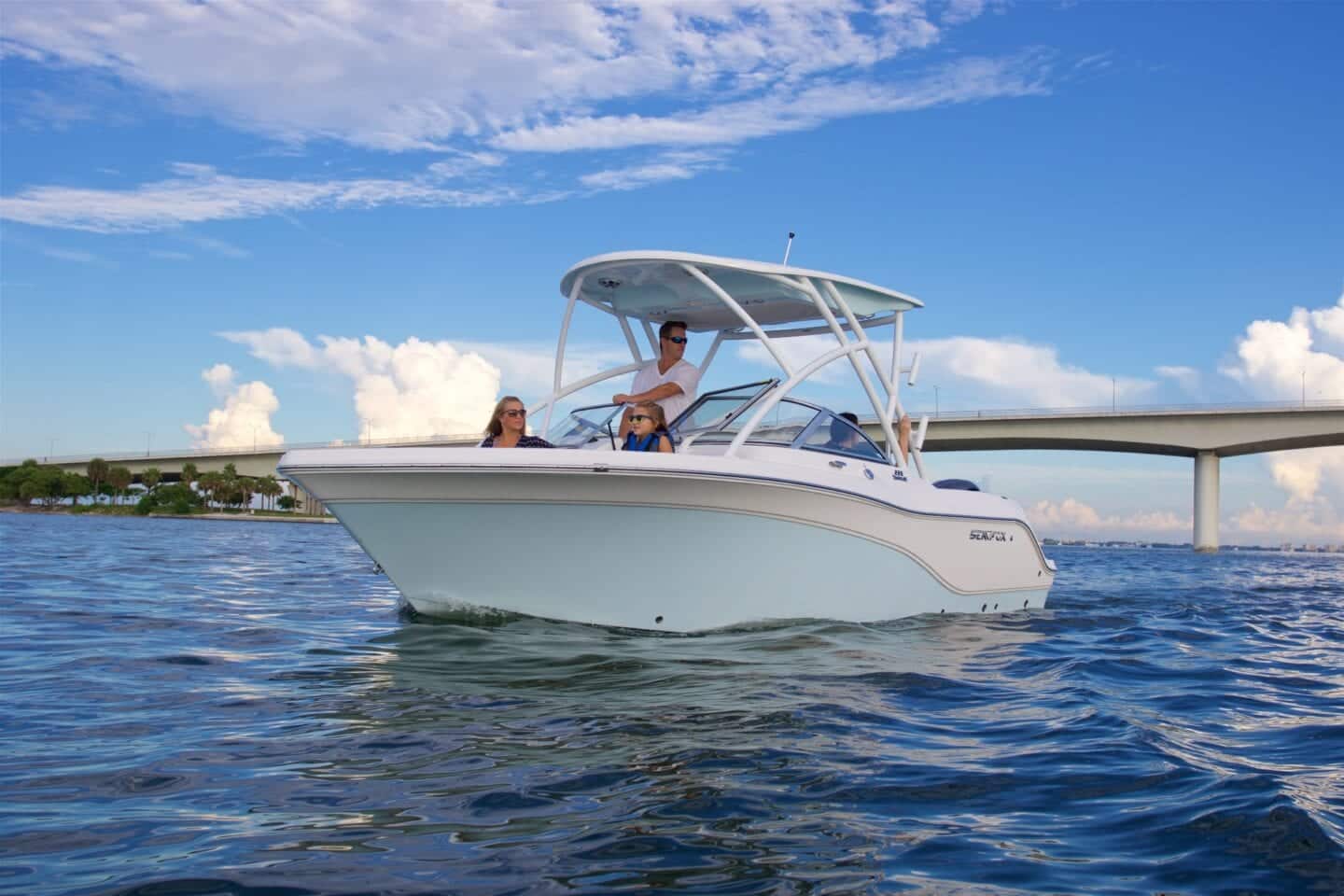 Dual Consoles - Sea Fox Boats